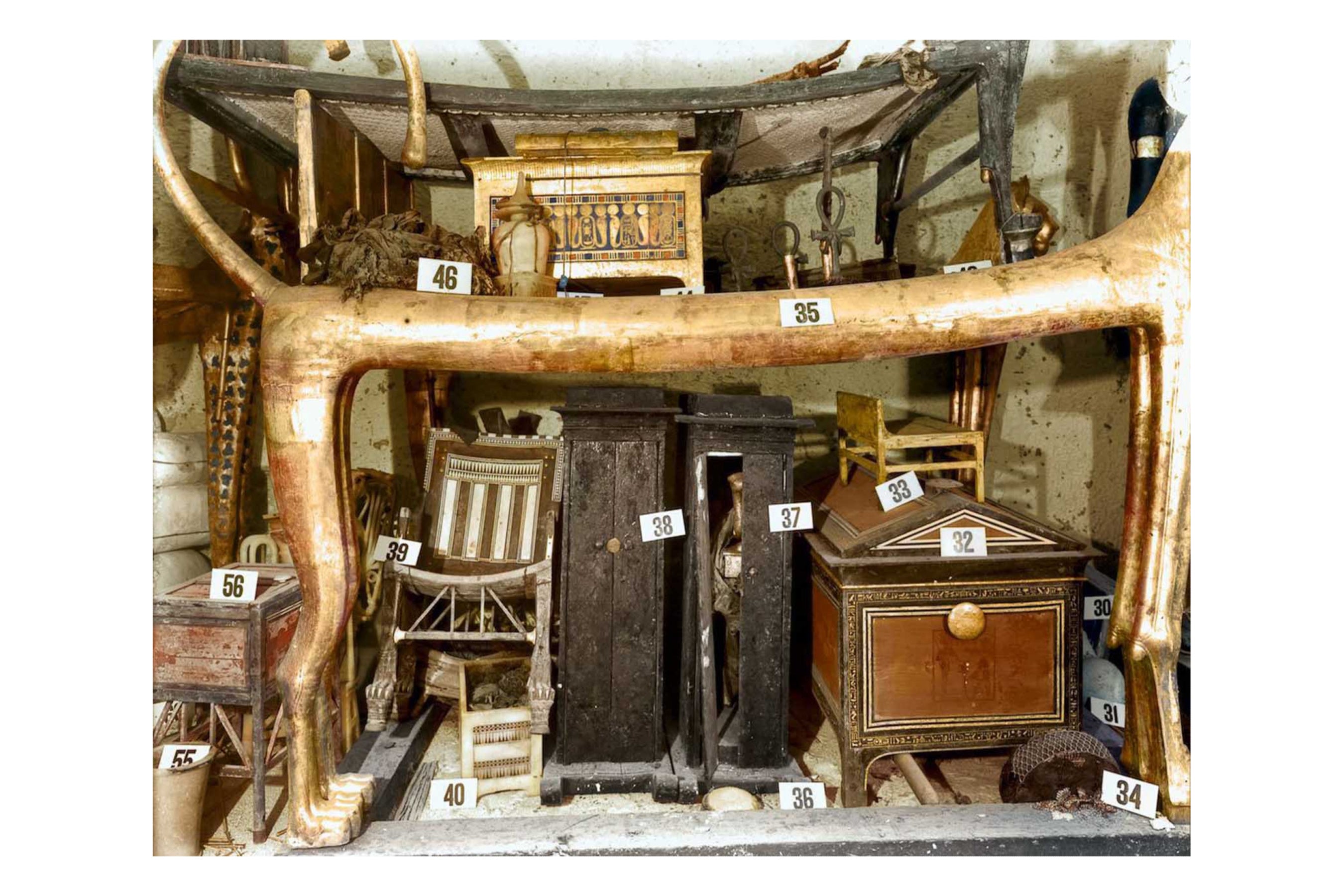 About – Human Assembly