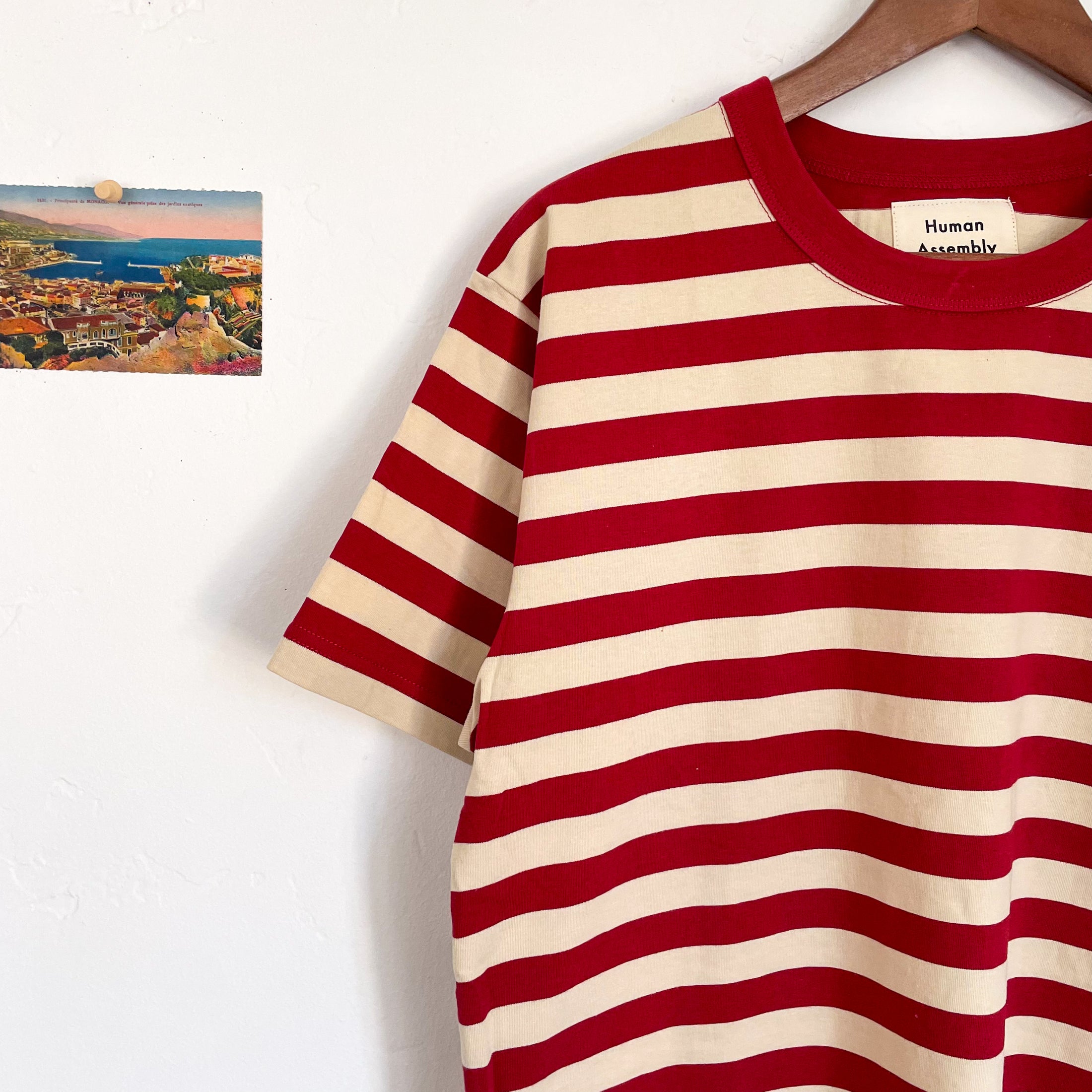 Human Assembly Nº 961